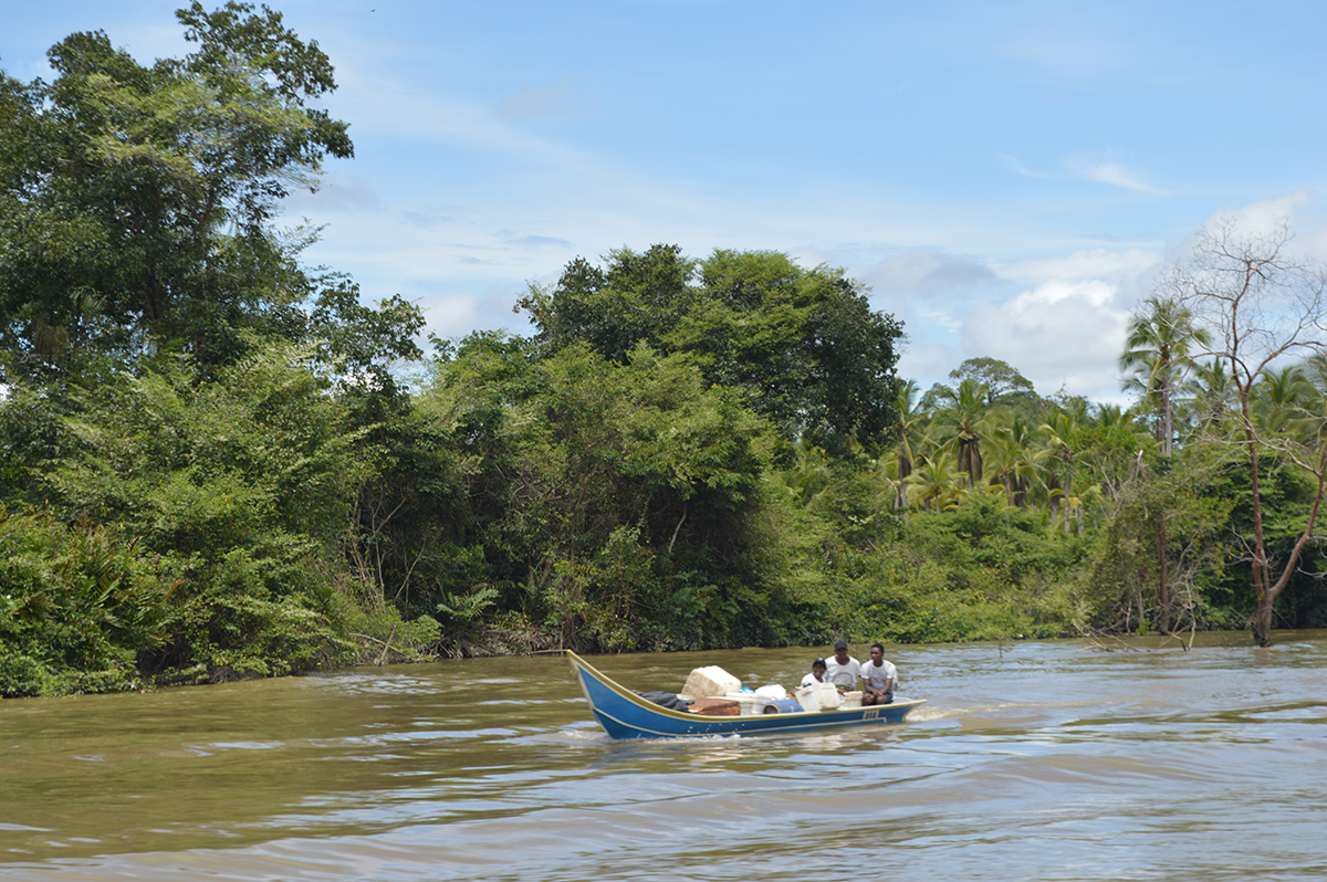 COCOCAUCA ALERTA: DESPLAZAMIENTO DE MAS DE 1.000 PERSONAS EN EL CONSEJO ...
